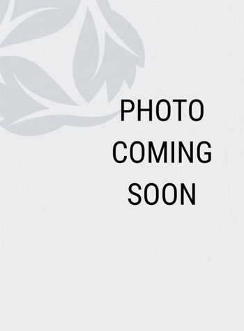 Victim of fatal pedestrian accident identified as 43-year-old Hilo man ...